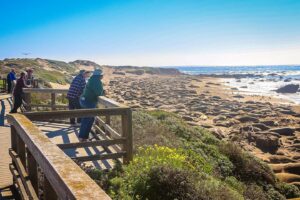 Things to do in Ragged Point - Highway 1 Road Trip