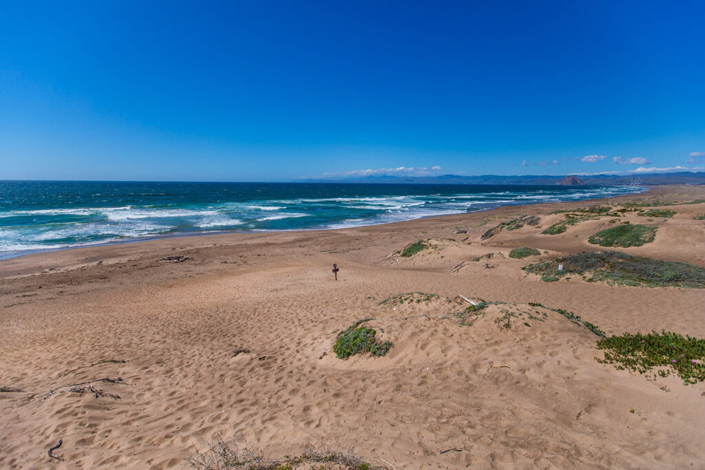 Best Beaches on Highway 1 – Highway 1 Road Trip