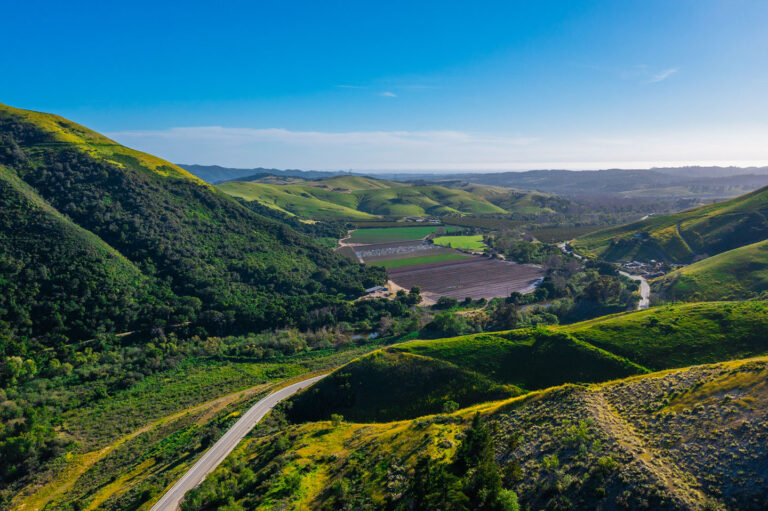 Edna Valley Wineries | Plan Your Wine Tour | Highway 1 Road Trip