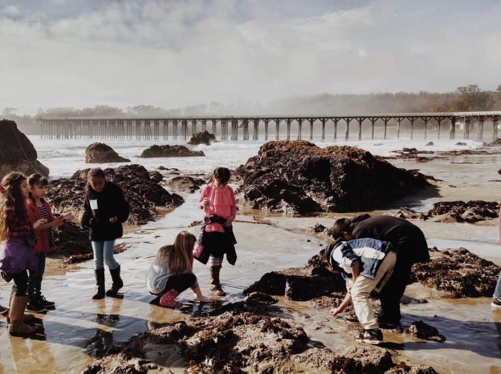 Tide Pools and Sea Life of Cayucos - Highway 1 Road Trip