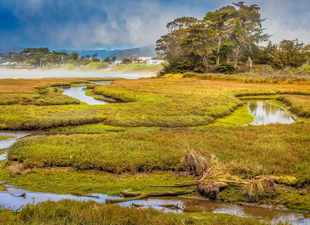 Things to do on Highway 1 - Highway 1 Road Trip